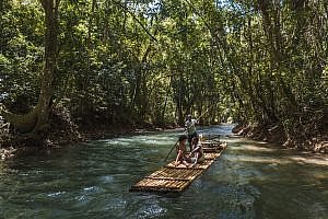 Bamboo River Rafting » Excursion Ocho Rios